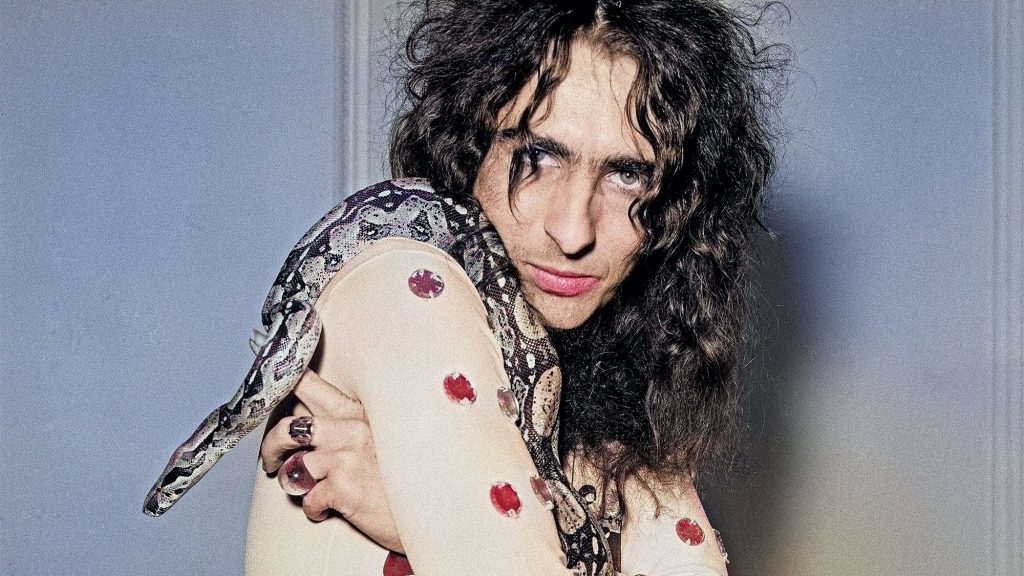 Unveiling the Folk Roots: The Hidden Melody Behind Alice Cooper's ...